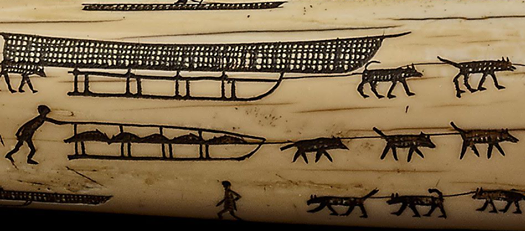 Il Cane da Slitta – Fra Indi